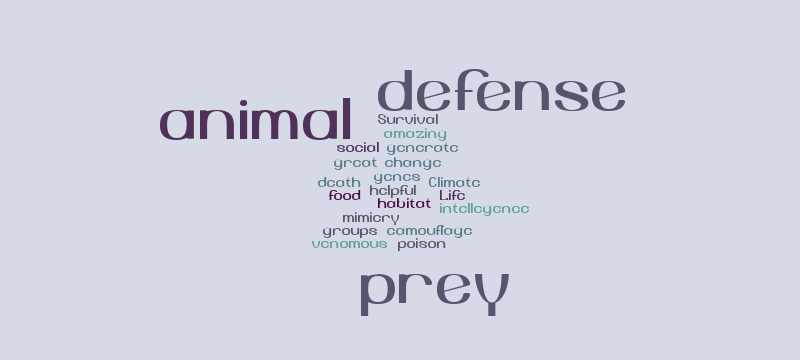 Animal adaptation – Word cloud – WordItOut
