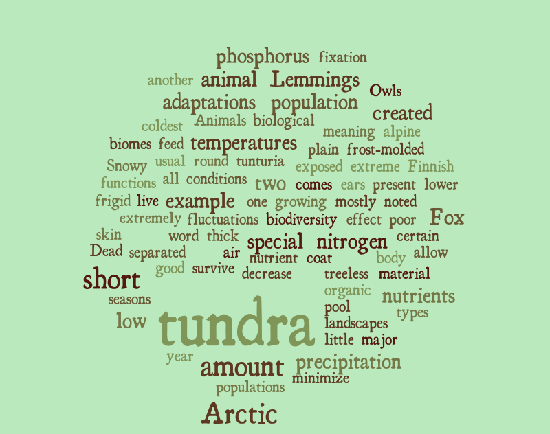 tundra – Word cloud – WordItOut