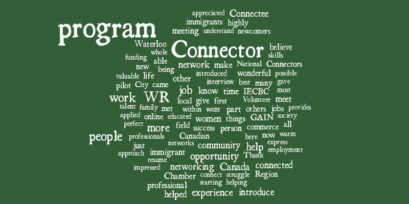 WR Connector Word Cloud – Word cloud – WordItOut
