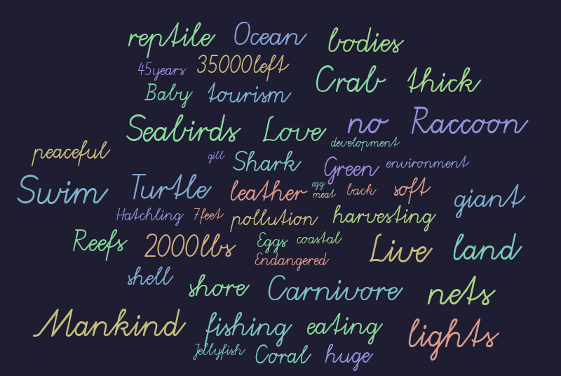 Turtle – Word cloud – WordItOut