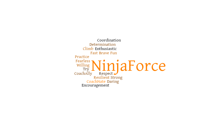 Ninja Force – Word cloud – WordItOut