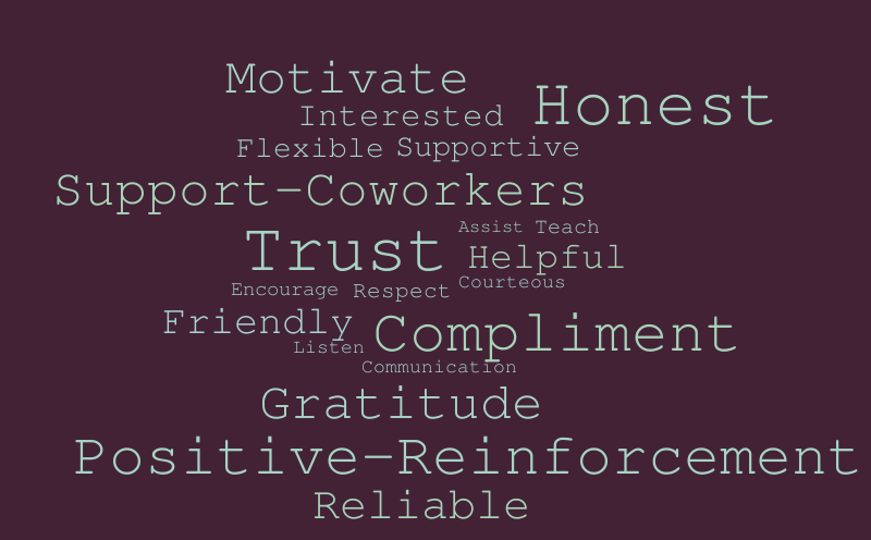 Caitlin Harte - Support Co-Workers – Word cloud – WordItOut
