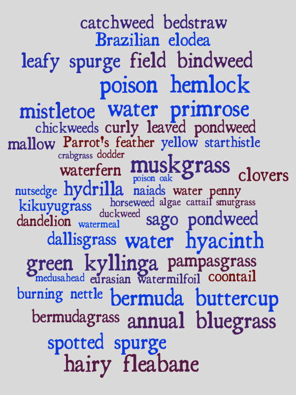 design_6 – Word cloud – WordItOut