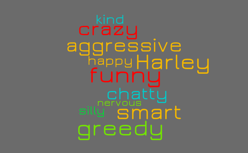 HD – Word cloud – WordItOut