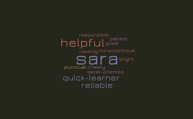 sara – Word cloud – WordItOut