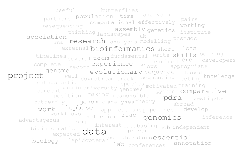 test – Word cloud – WordItOut