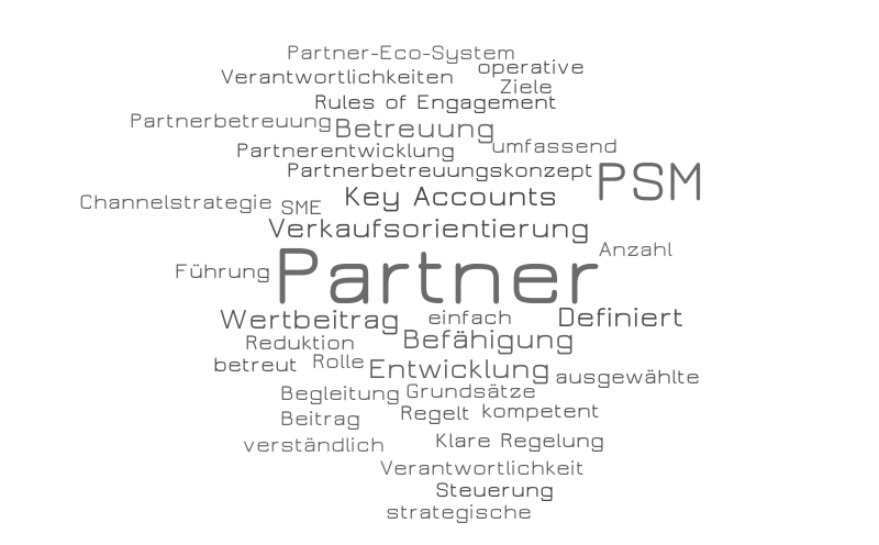 Partner 5 – Word cloud – WordItOut
