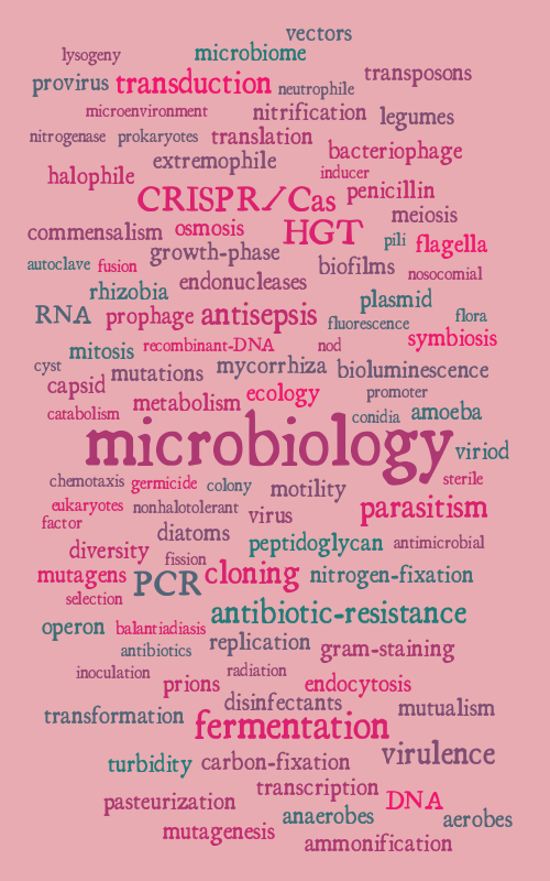 Microbiology – Word cloud – WordItOut