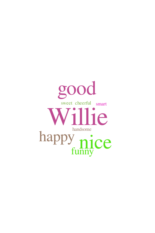 willie – Word cloud – WordItOut