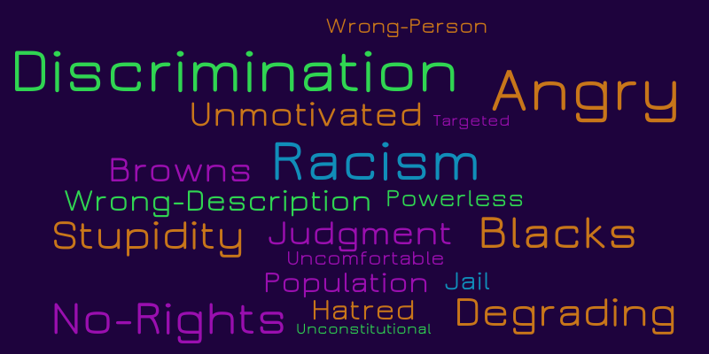 Stop and Frisk Word Cloud – Word cloud – WordItOut