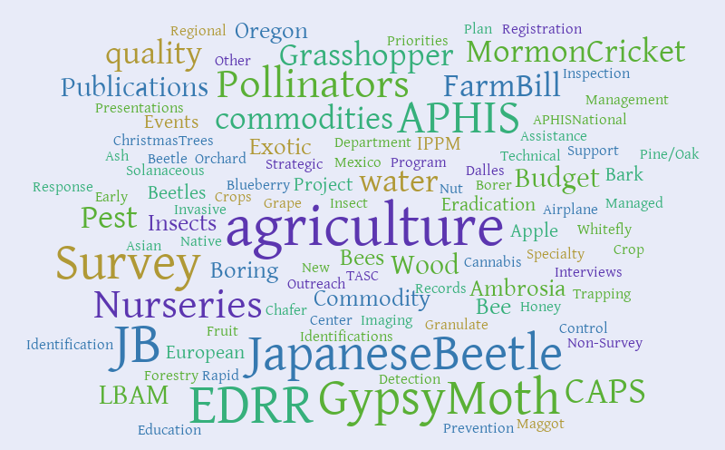 oda – Word cloud – WordItOut