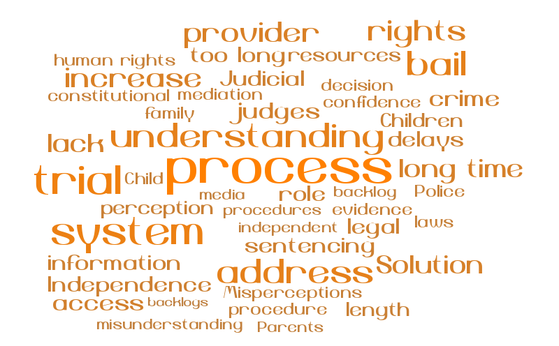 Key Issues with the Judiciary 3 – Word cloud – WordItOut