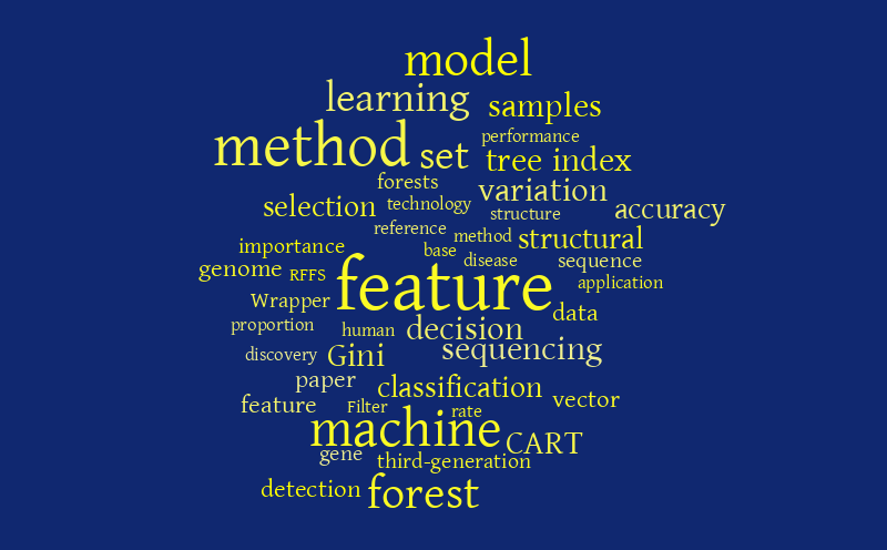 6 – Word cloud – WordItOut