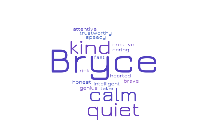Bryce – Word cloud – WordItOut
