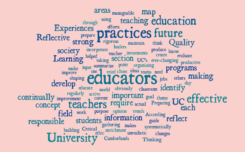 Conceptual Framework Word Cloud – Word cloud – WordItOut