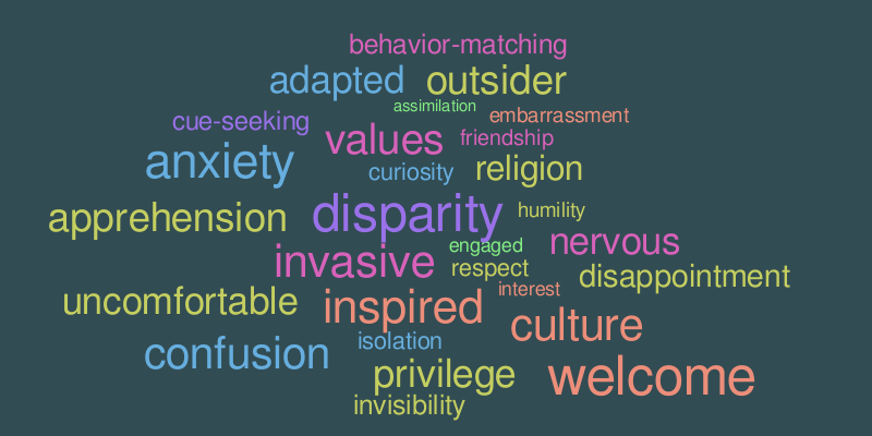 Race and Ethnicity Word Cloud Option 3 – Word cloud – WordItOut