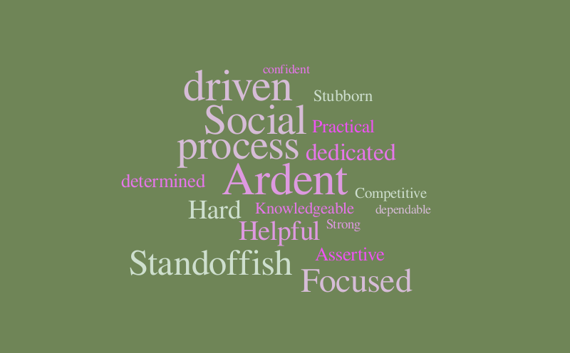 Rebecca Goodrich – Word cloud – WordItOut