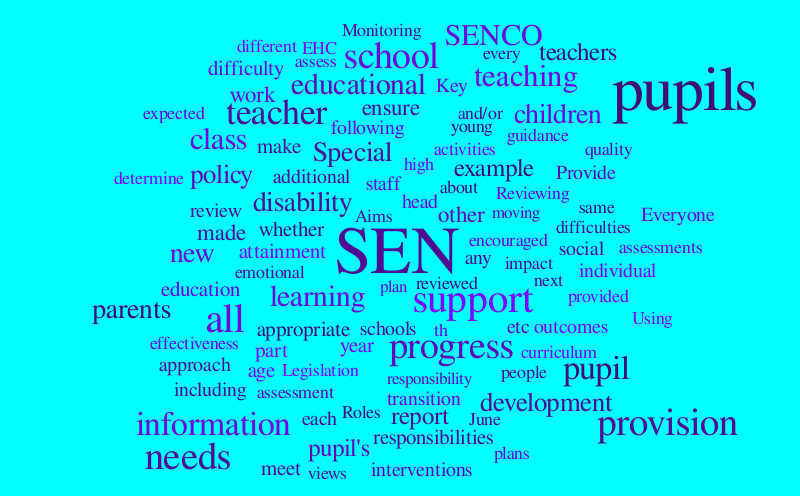 SEN Policy Word Cloud 1 – Word cloud – WordItOut