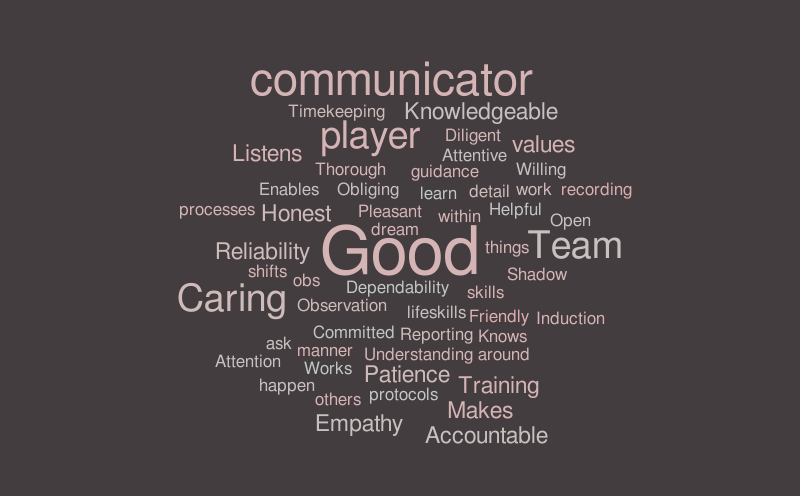 What does a good support worker look like – Word cloud – WordItOut