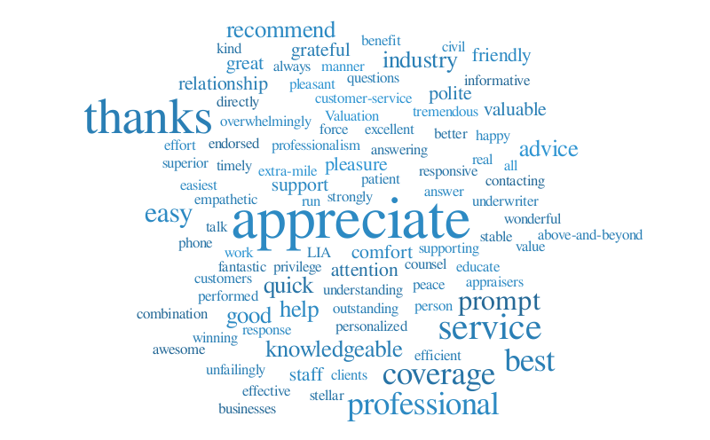 12 – Word cloud – WordItOut