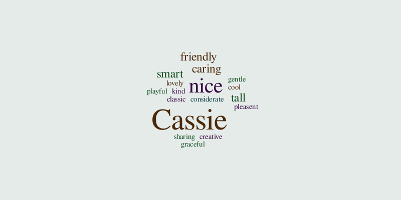 cassie – Word cloud – WordItOut