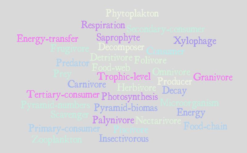 Biology at home video 5 word list – Word cloud – WordItOut
