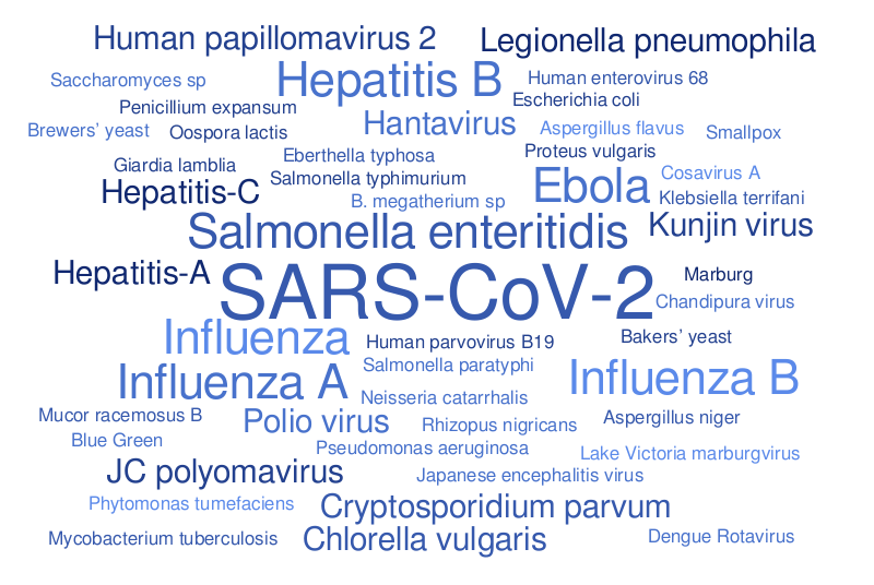 Pathogen Word Cloud – Word cloud – WordItOut