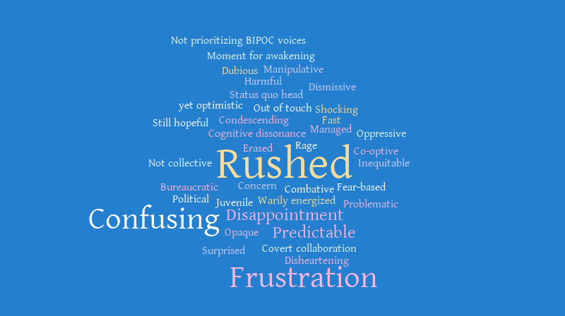 Reactions to Task Force Process – Word cloud – WordItOut