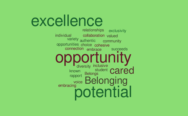 Vision Statement – Word cloud – WordItOut