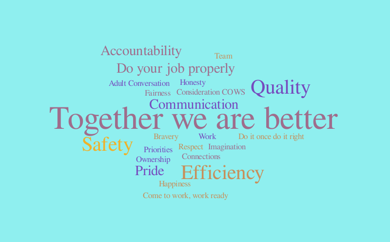 SW Whanganui Mission Statement – Word cloud – WordItOut