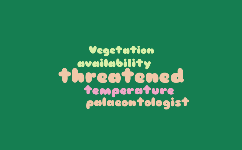 Spell NOW 2 – Word cloud – WordItOut