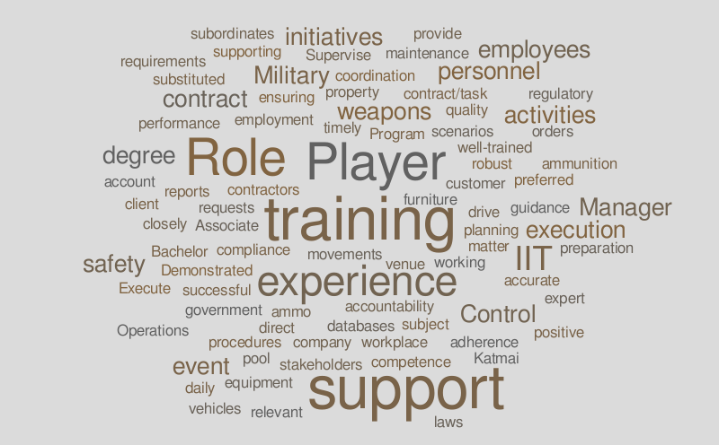 IIT RP Manager – Word cloud – WordItOut