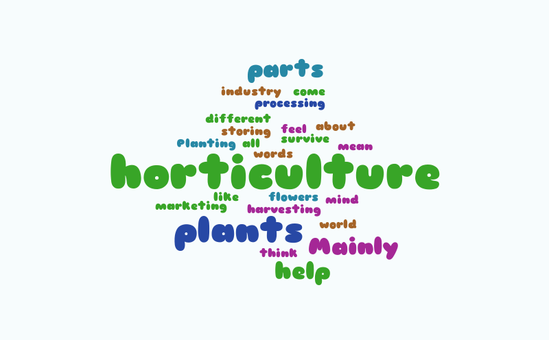 brianna word cloud – Word cloud – WordItOut