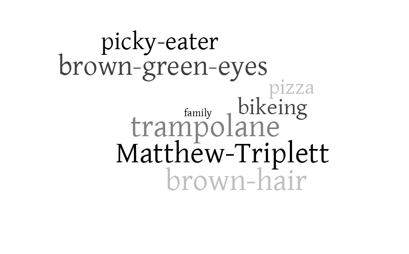 Matthew Triplett – Word cloud – WordItOut