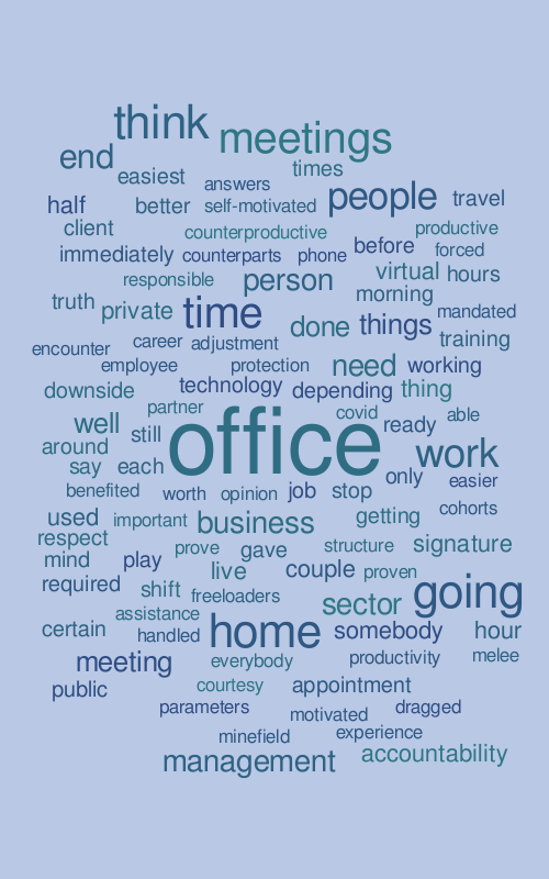 Interview 1 – Word cloud – WordItOut