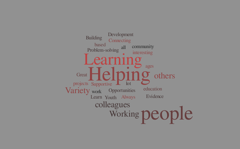 What do you like about the job? – Word cloud – WordItOut