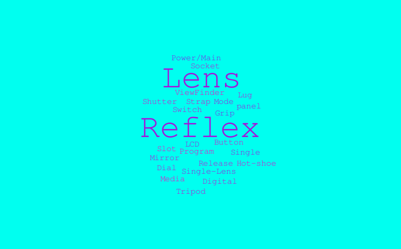 Untitled – Word cloud – WordItOut