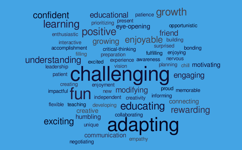 Personal Training Internship – Word cloud – WordItOut