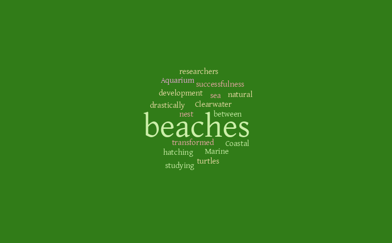 Tracking sea turtles – Word cloud – WordItOut