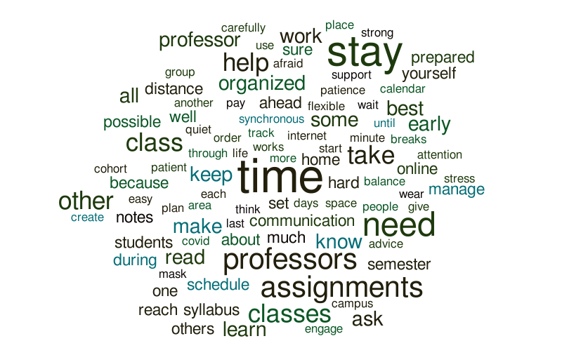 Q9 - Updated – Word cloud – WordItOut