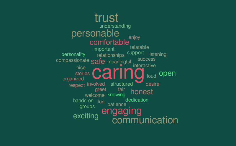 MLED effective teacher characteristics – Word cloud – WordItOut