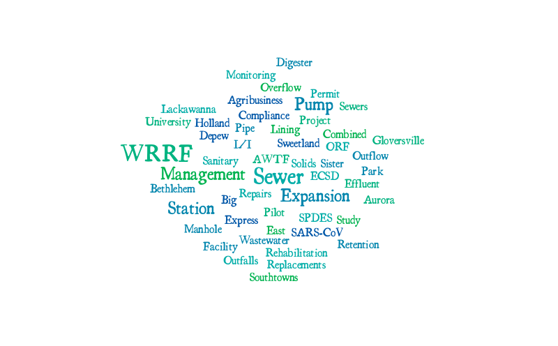 DSM – Word cloud – WordItOut