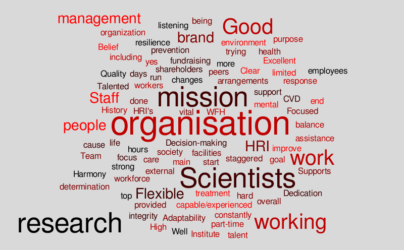 Fundraising Strengths – Word cloud – WordItOut