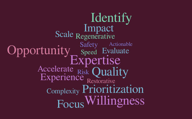 bio tech option`1 – Word cloud – WordItOut