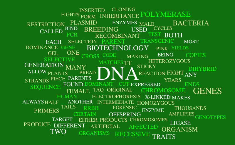 Senior Biology – Word cloud – WordItOut