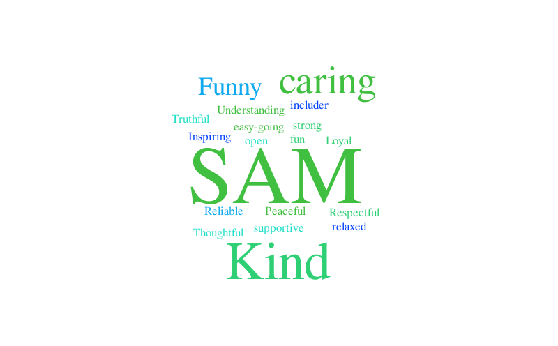 Sam Could – Word cloud – WordItOut