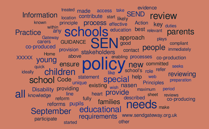 SEN Policy Word Cloud 2 – Word cloud – WordItOut