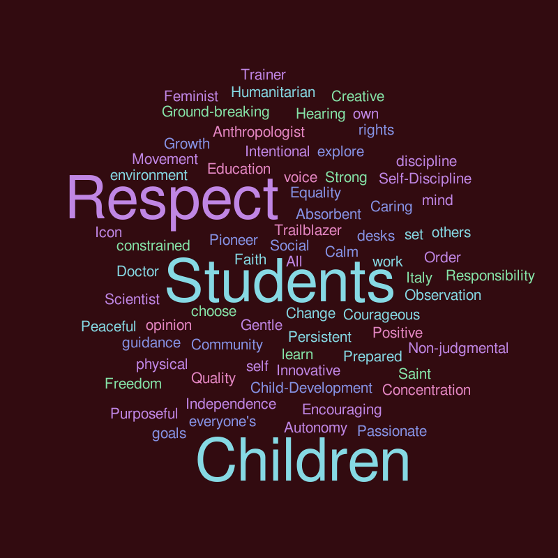Montessori Group Project 1 – Word cloud – WordItOut