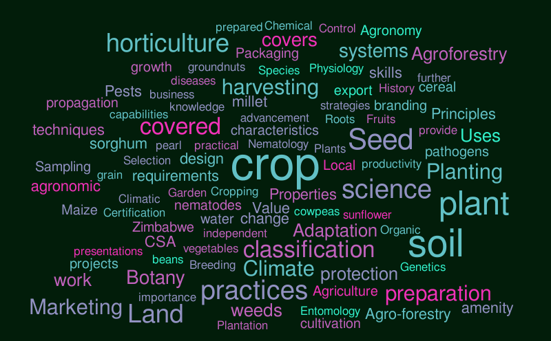 Untitled – Word cloud – WordItOut