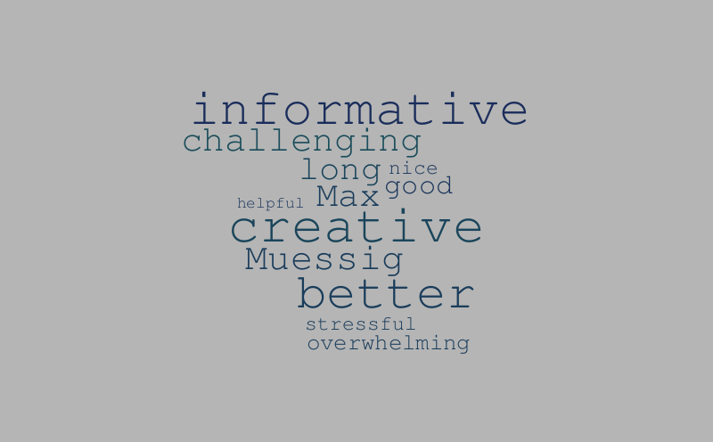 Maxs Word Cloud – Word cloud – WordItOut